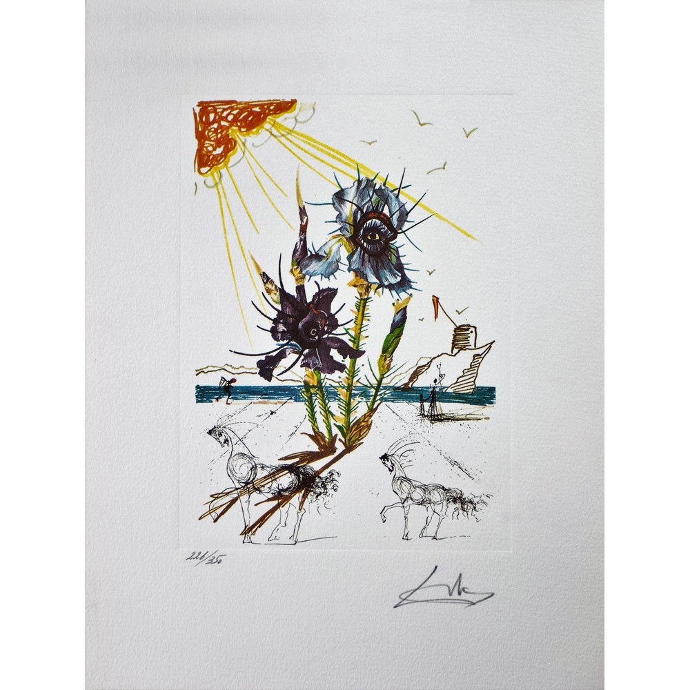 Salvador Dalí | ‘Iris of Dalís Youth’ (from Surrealistic Flowers 1972 ...
