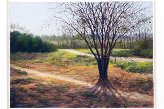 Terry Pappas | Biography