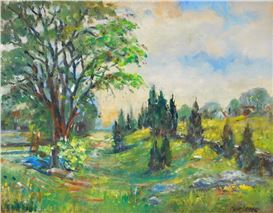 Gary Gross The Woman In The Child