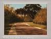 Newton Reeve Howard | Old Road at Lafitte/Friday Afternoon (1980 ...