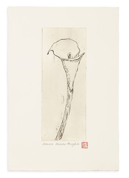 Wanda Richter-forgach | Biography