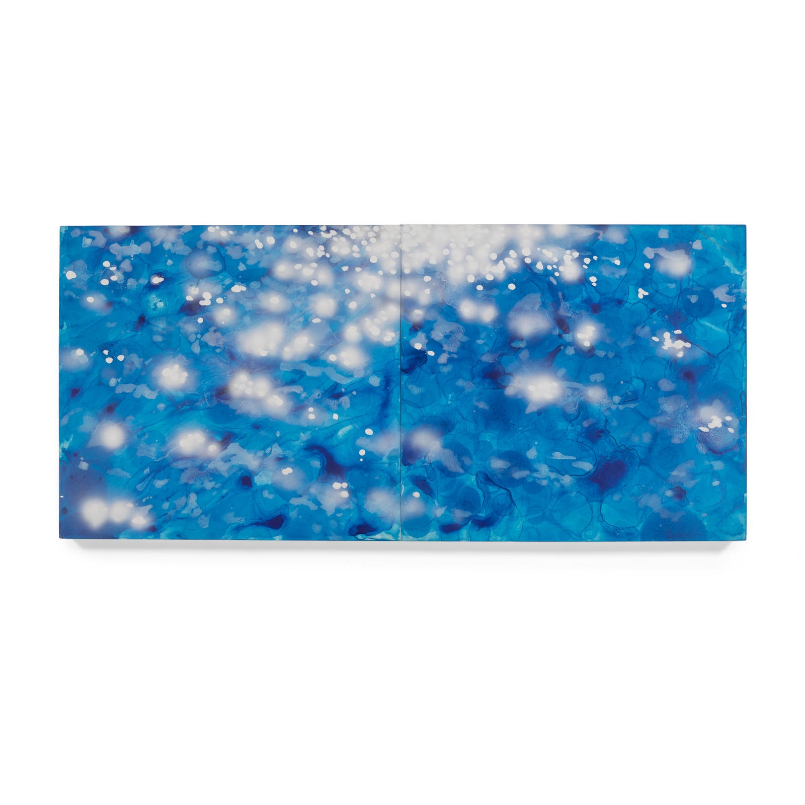 Peter Alexander | Fish (2005) | MutualArt