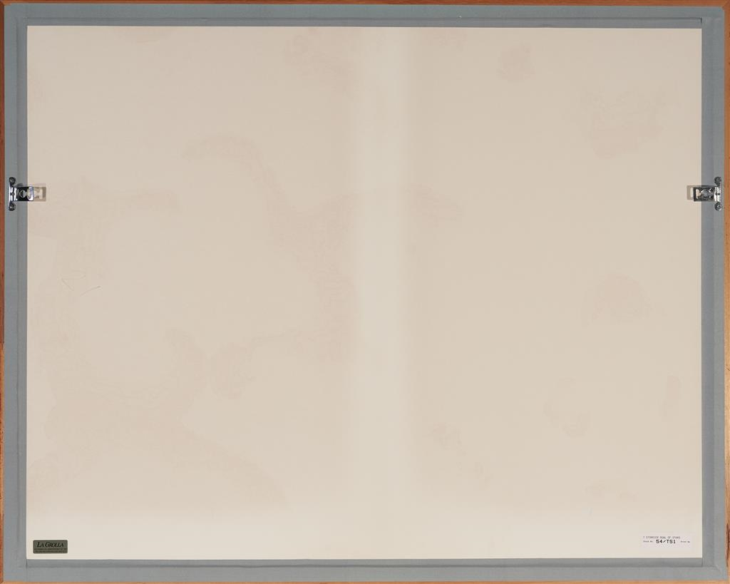 Tim Storrier | Bowl of Stars (1994) | MutualArt