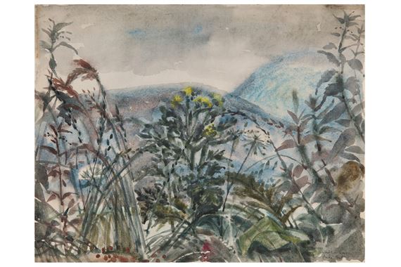 Anna Adams | A group of six plant still lifes (1972 - 1980) | MutualArt