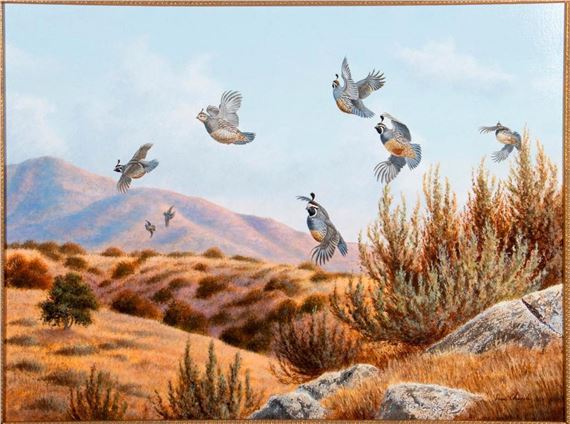 David Chapple | California Quail | MutualArt