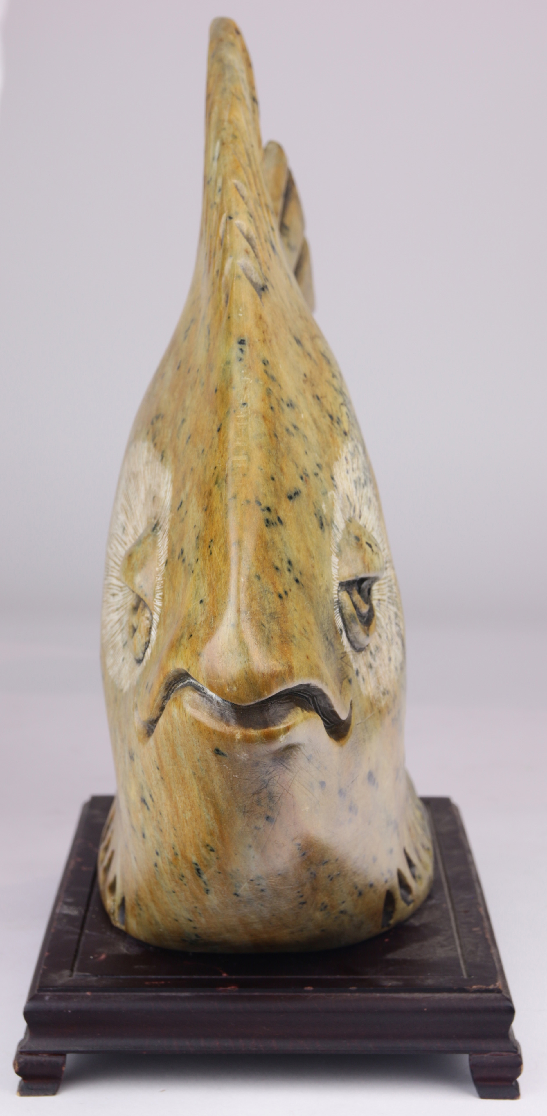 Glenn Heath | Sunfish | MutualArt