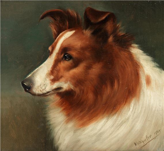 Walter Herbert Wheeler | Portrait of a collie (1904) | MutualArt