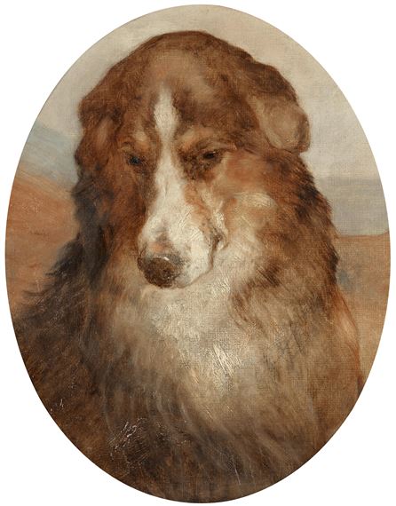 Edwin Douglas | Study of a collie | MutualArt