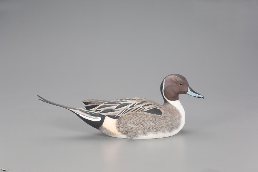 Pat Godin | PINTAIL DRAKE (1994) | MutualArt