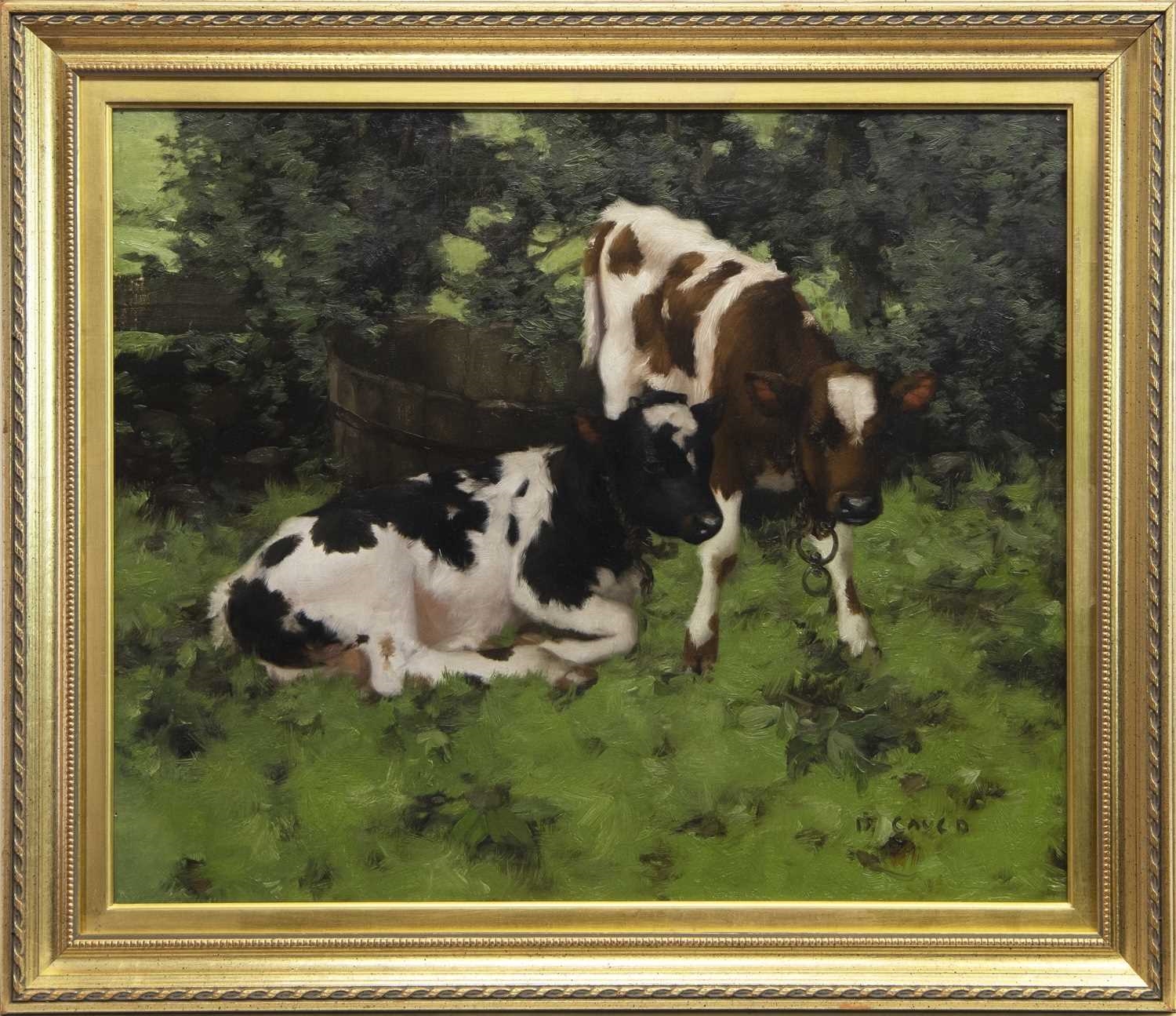 David Gauld | TWO CALVES | MutualArt