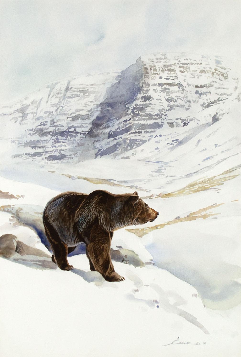Stephen C. Elliott | GRIZZLY IN SNOW (1987) | MutualArt