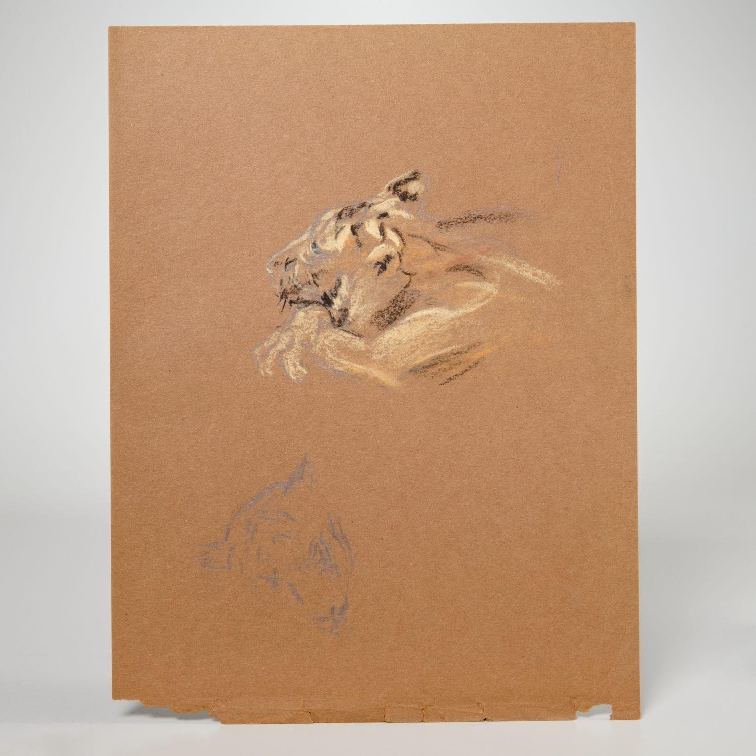 Joseph Gayne Chenoweth | Tiger sketch | MutualArt