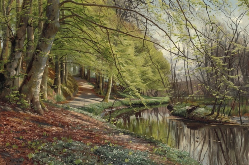 Peder Mork Monsted | Spring day with new-leaved beech trees and ...