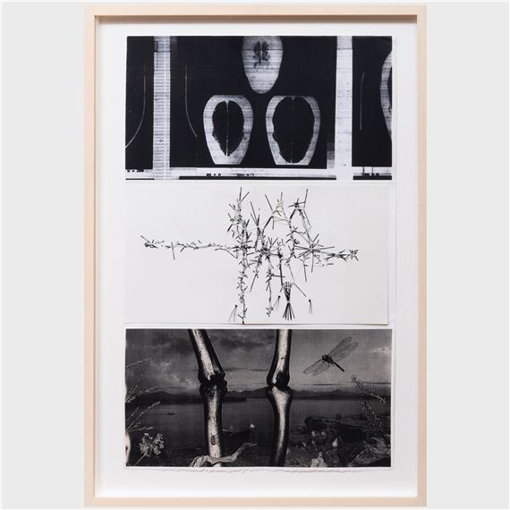 Richard Staub | Biography