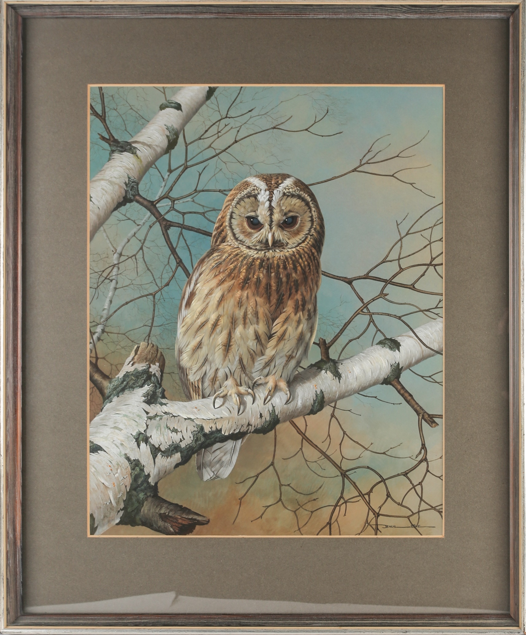 Basil Ede | Tawny Owl | MutualArt