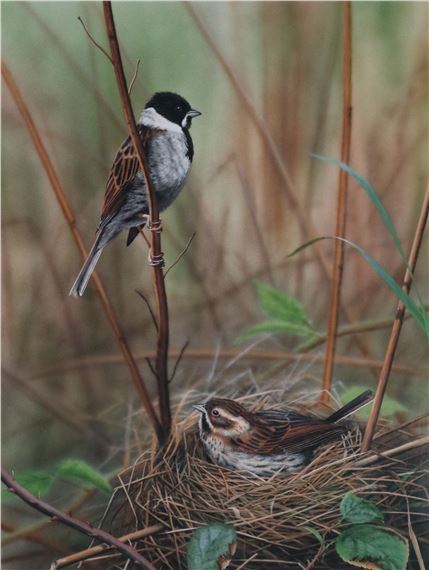 Nigel Artingstall | 8 Artworks at Auction | MutualArt