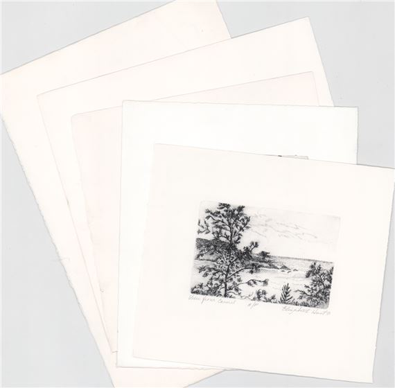 Elizabeth Hunt | Nature | MutualArt