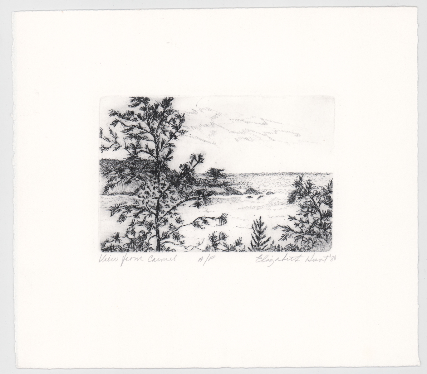 Elizabeth Hunt | Nature | MutualArt