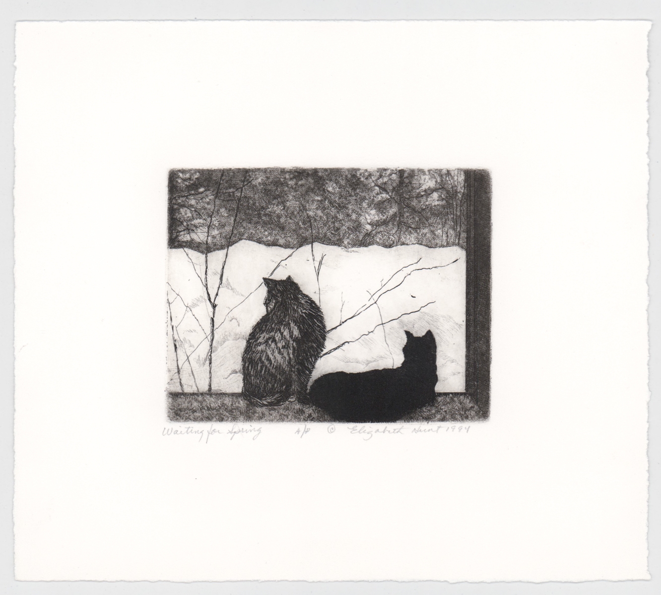 Elizabeth Hunt | Cats | MutualArt