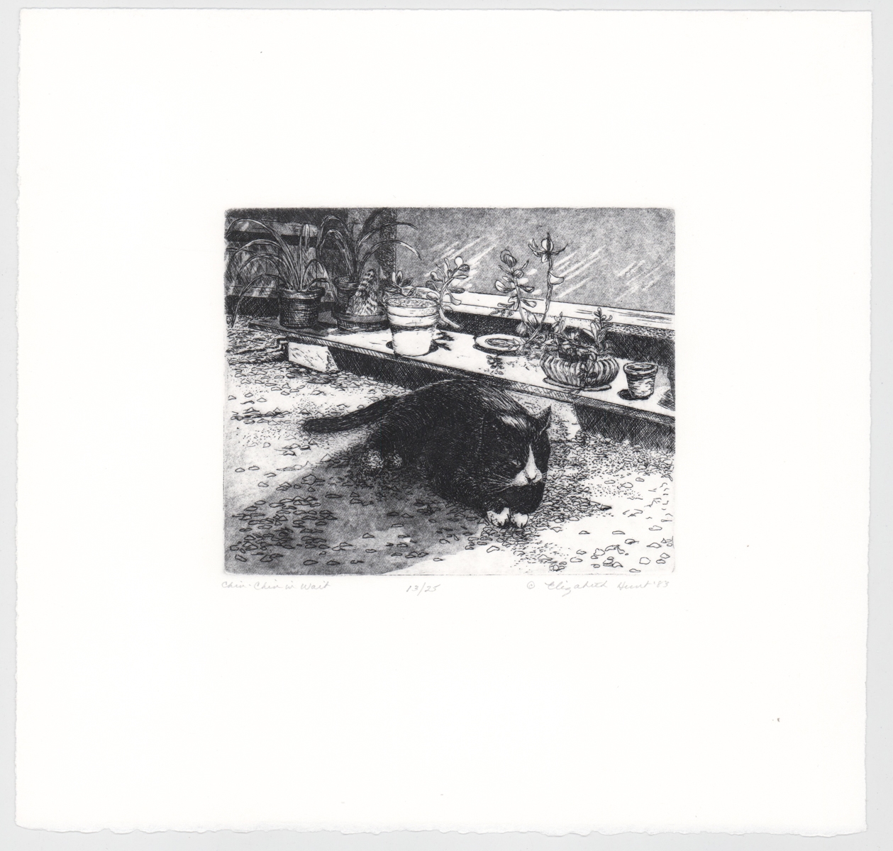 Elizabeth Hunt | Cats | MutualArt