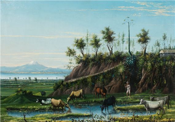 Rafael Salas | 8 Artworks at Auction | MutualArt