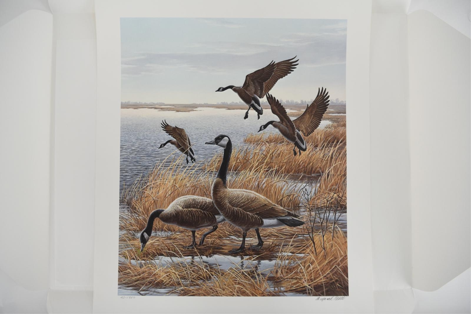 Maynard Reece | Waters Edge - Canada Geese | MutualArt