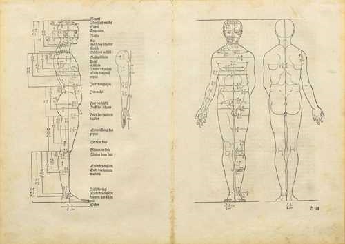 Albrecht Dürer | Two book pages with proportion studies (1528) | MutualArt