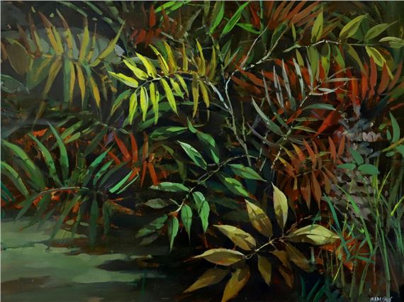 Ben Marcune | Ferns and foliage on a forest floor | MutualArt