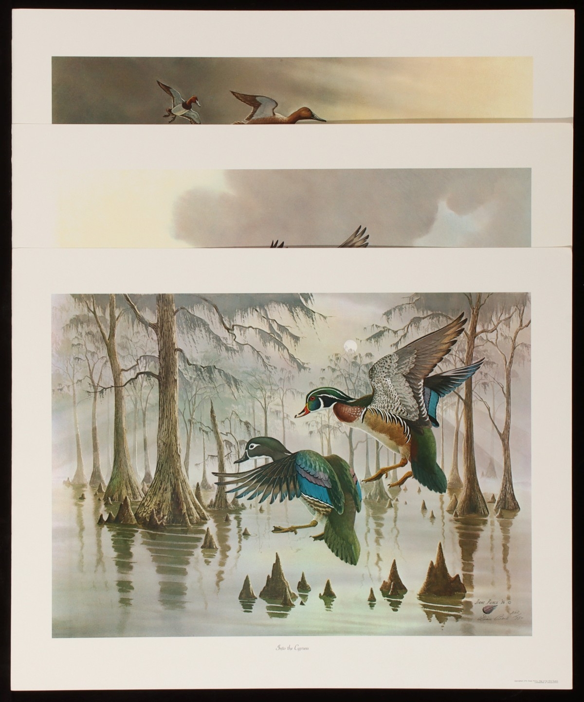 Diane Pierce | Before the North Wind; Up from the Prairie; Into the ...