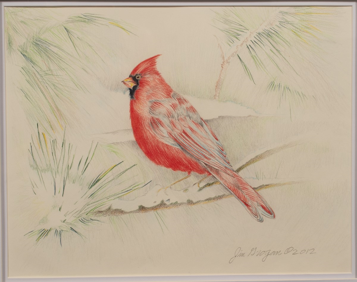Jim Grogan | CARDINAL WITH PINE NEEDLES (2012) | MutualArt
