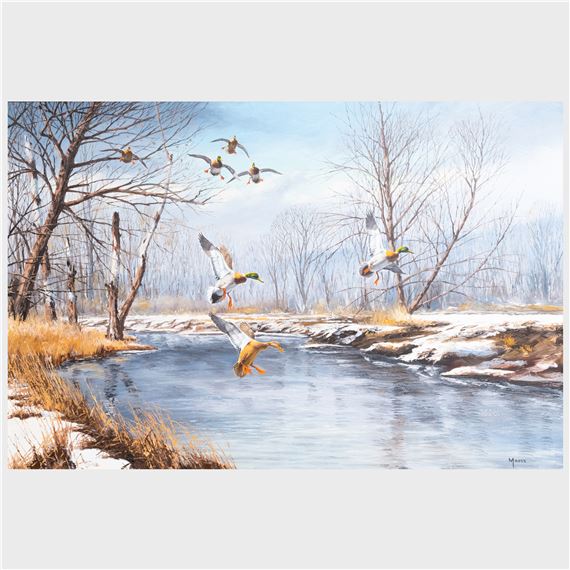 David Maass | Winter River Mallards | MutualArt