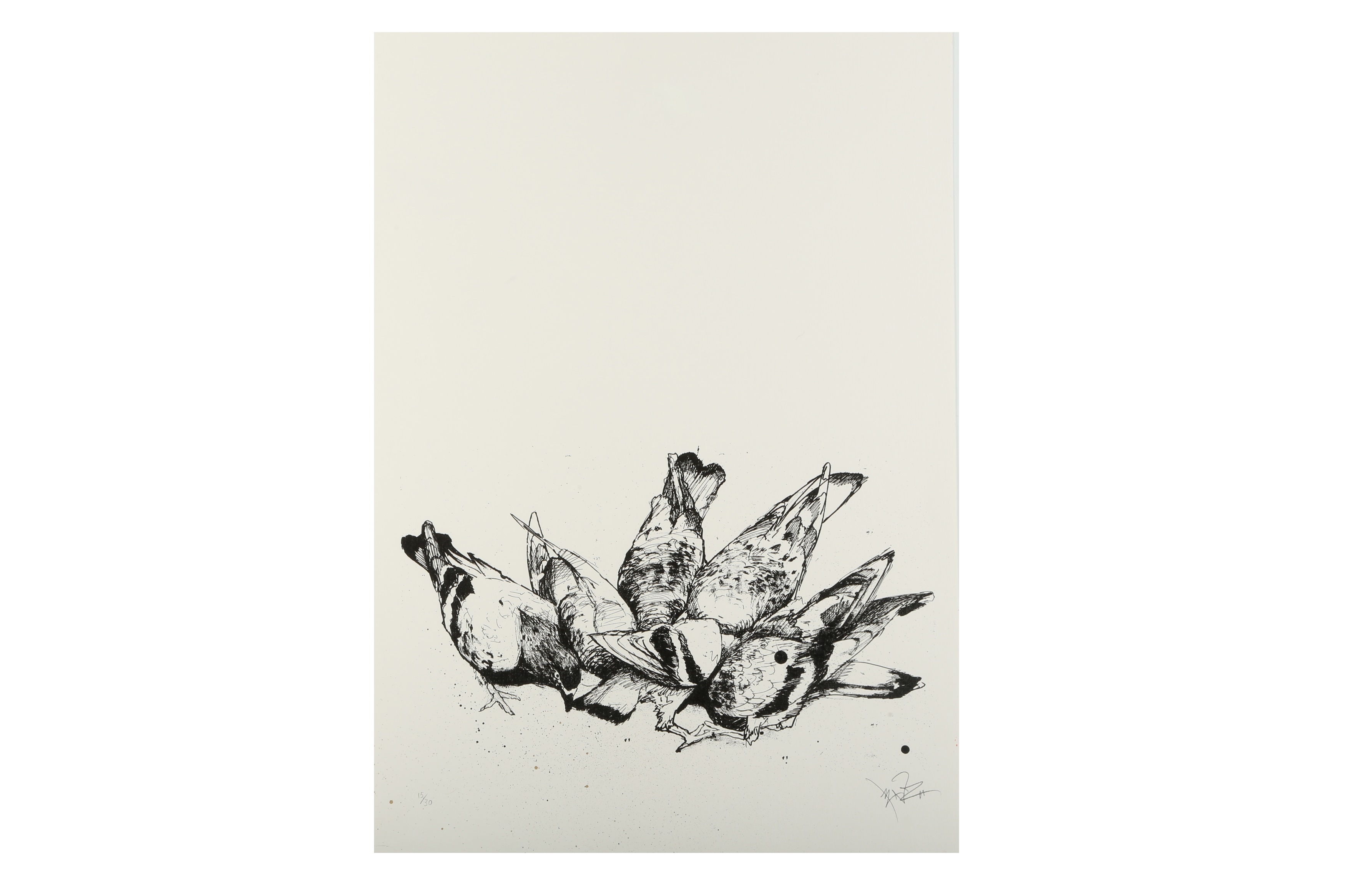 Xenz | Birds | MutualArt