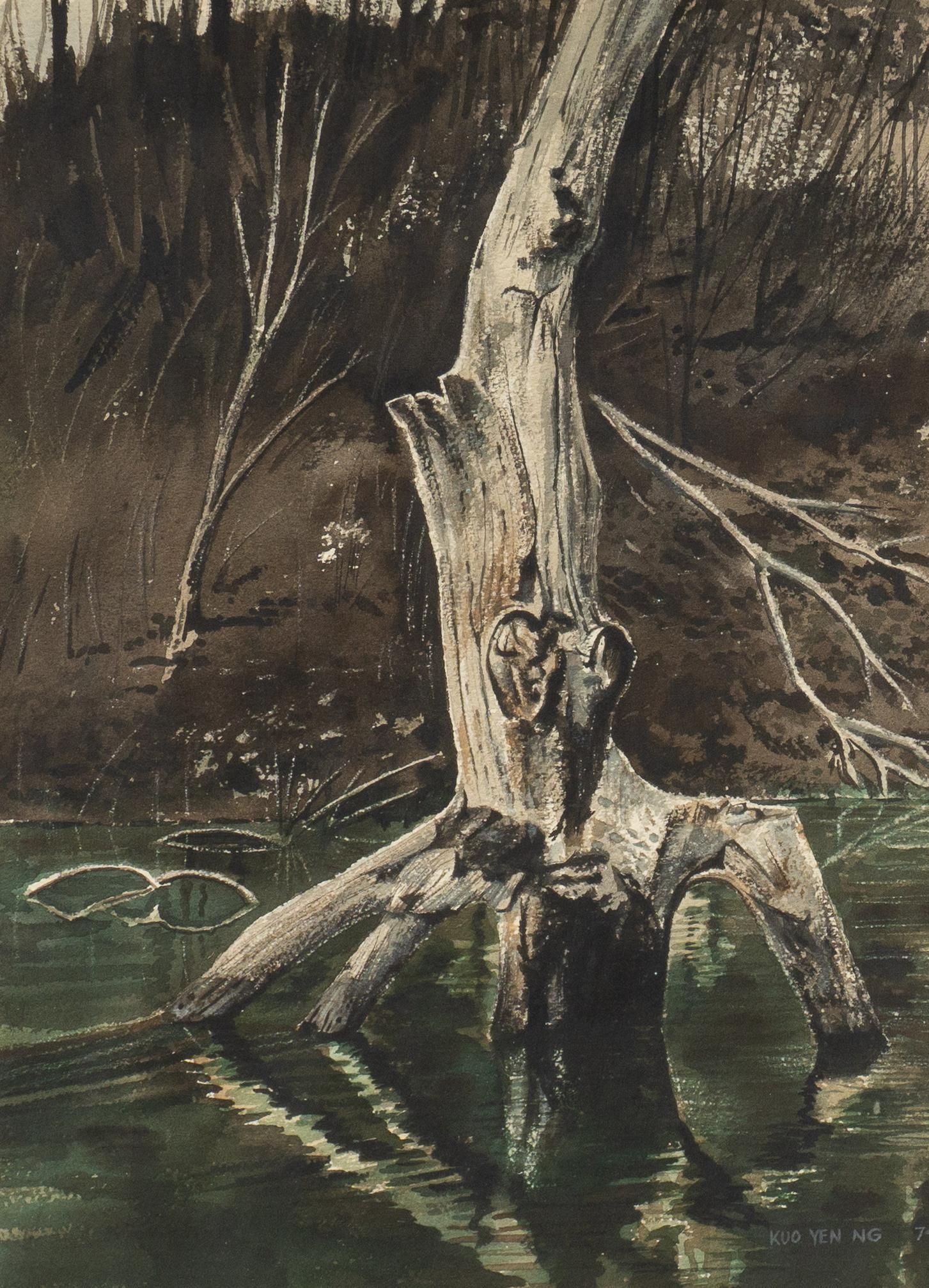 Cypress Tree Swamp Drawing