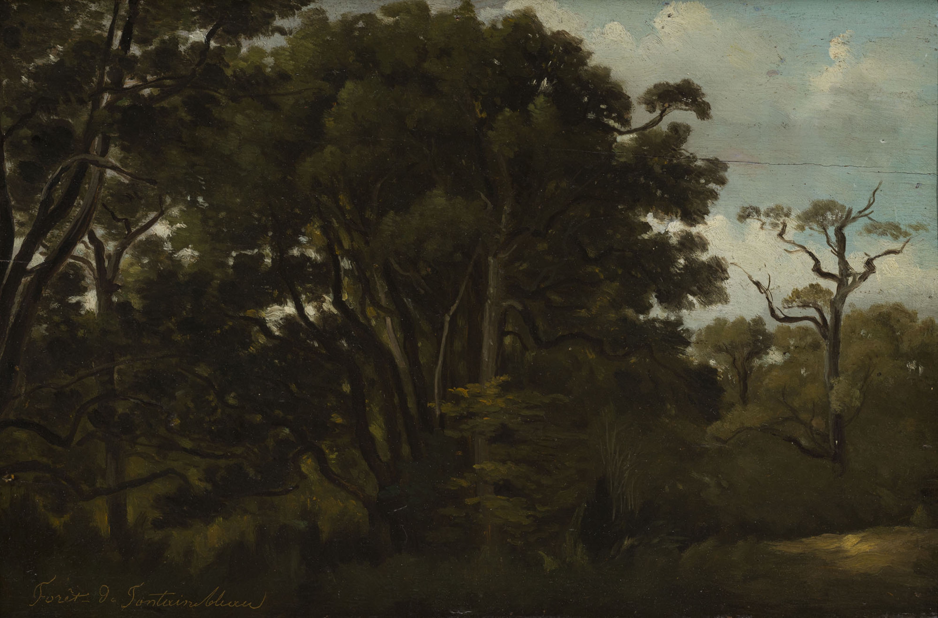 Eugène Antoine Samuel Lavieille | Forêt de Fontainebleau | MutualArt