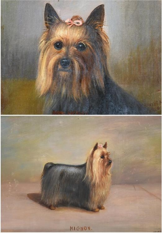 Henry Crowther | ''Bobby Dazzler'' (Study of a Yorkshire Terrier ...