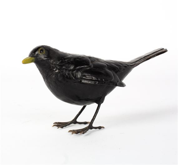 Steve Boss | Biography