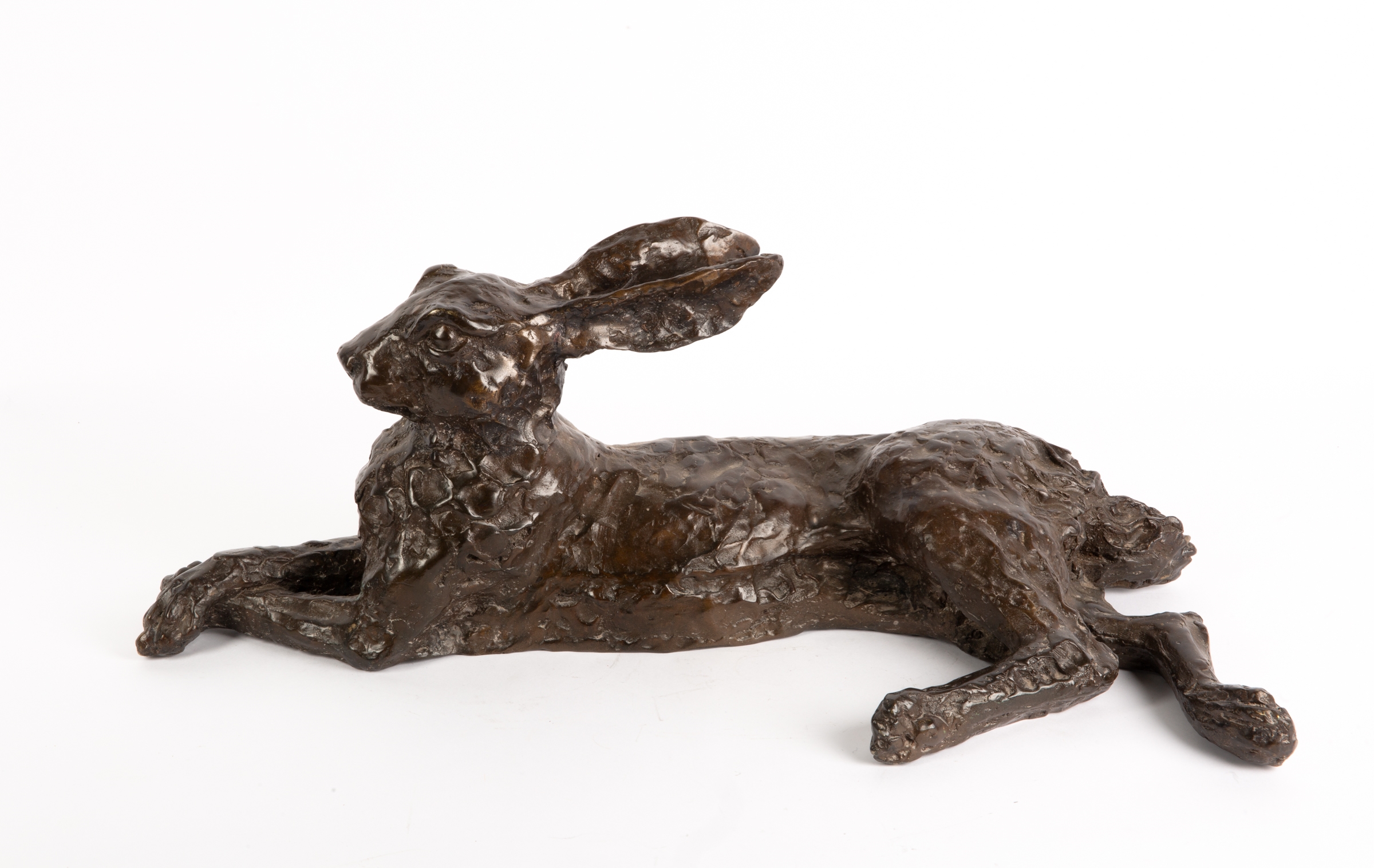 John Cox | Resting Hare | MutualArt