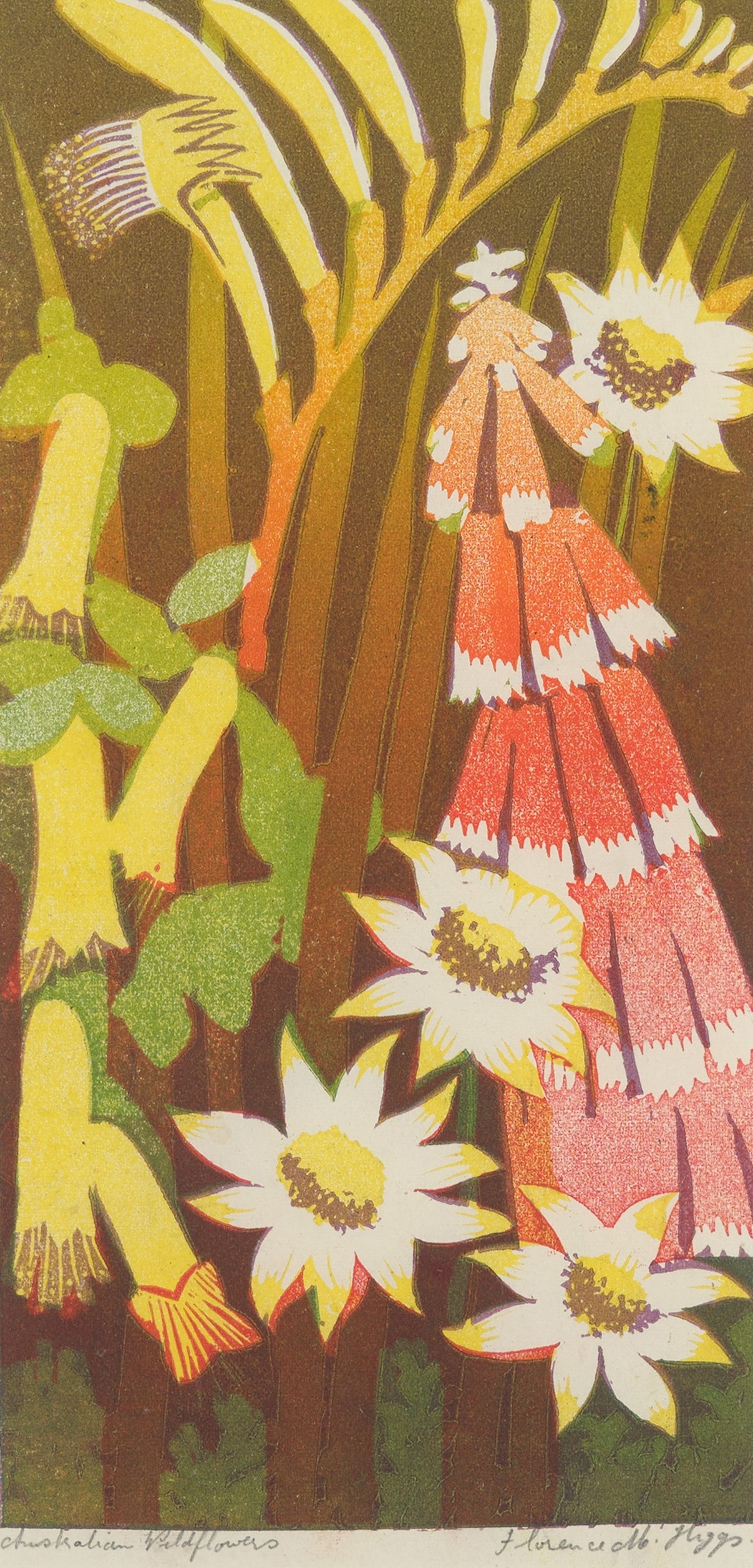 Florence Higgs | Australian Wildflowers (Circa 1954) | MutualArt