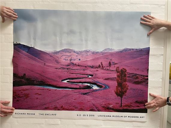 Richard Mosse | 'The Enclave' | MutualArt
