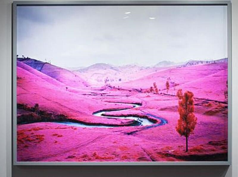 Richard Mosse | 'The Enclave' | MutualArt
