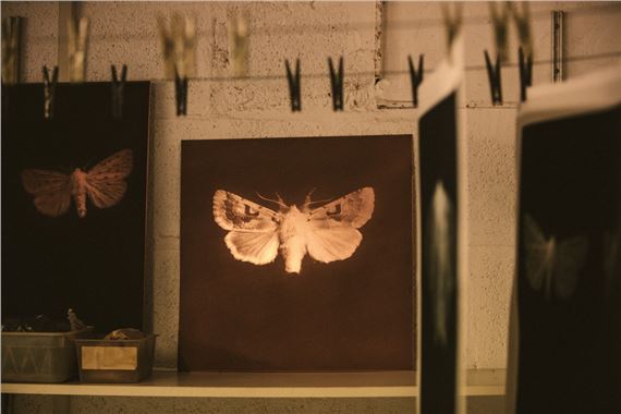 Sarah Gillespie: Wessex and... | Exhibitions | MutualArt