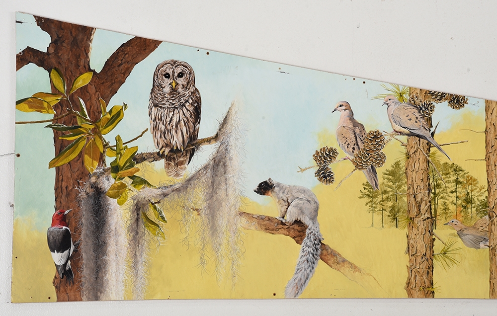 Mark Eberhard | Georgia Woodland Wildlife | MutualArt
