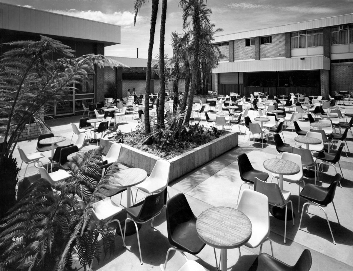 Max Dupain | Sebel plastic chairs in hotel garden (1967) | MutualArt