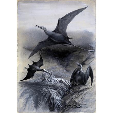 Charles Whymper | Flying Lizards | MutualArt