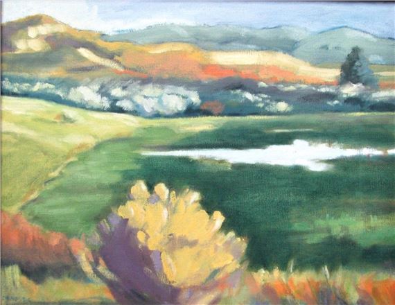 Diane Debevec | 1 Artworks | MutualArt