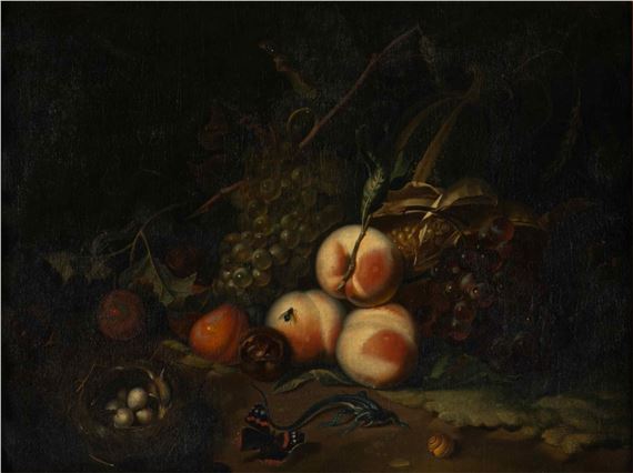 Ruysch Rachel | Still Life with Fruit and Insects | MutualArt