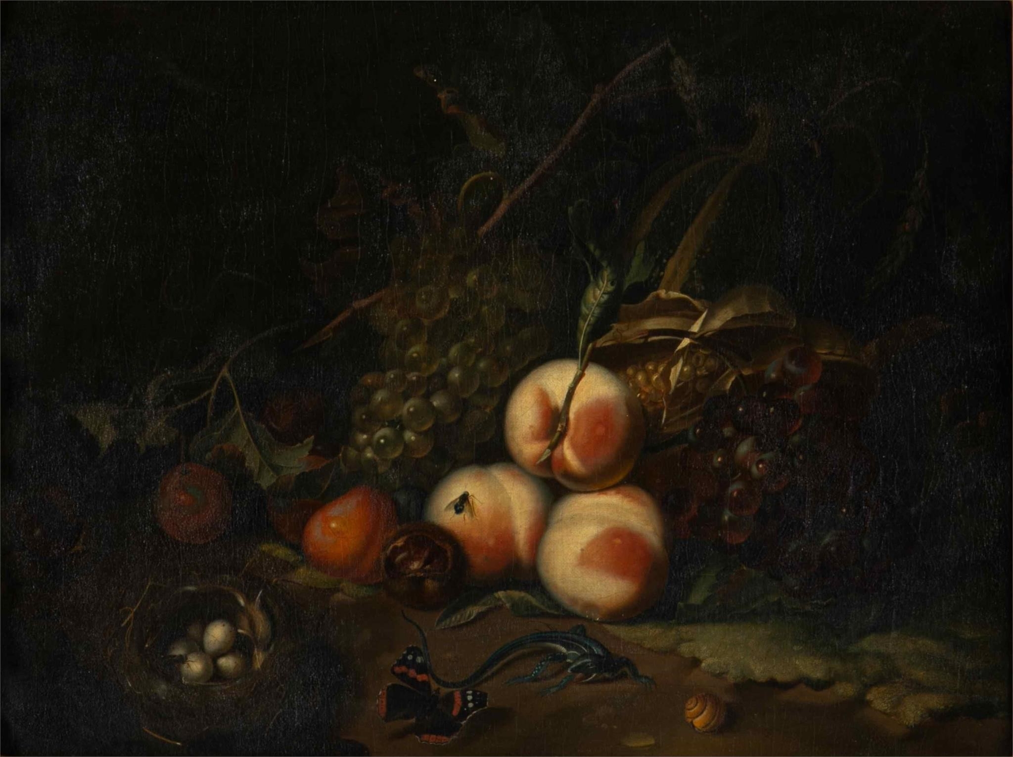 Ruysch Rachel | Still Life with Fruit and Insects | MutualArt