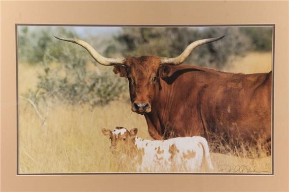 David Stoecklein | 4 Artworks | MutualArt