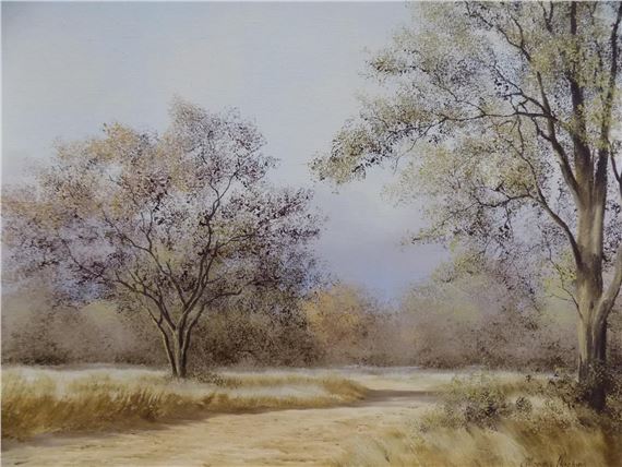 Thomas Hacking | Dirt Road through Bushveld | MutualArt