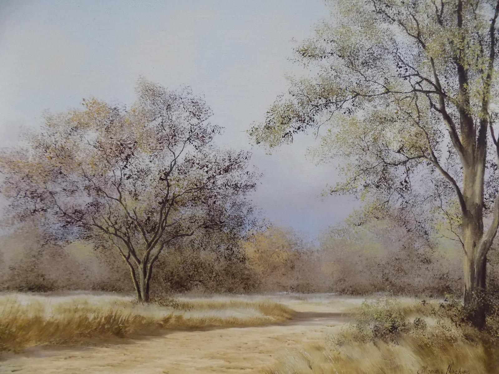 Thomas Hacking | Dirt Road through Bushveld | MutualArt